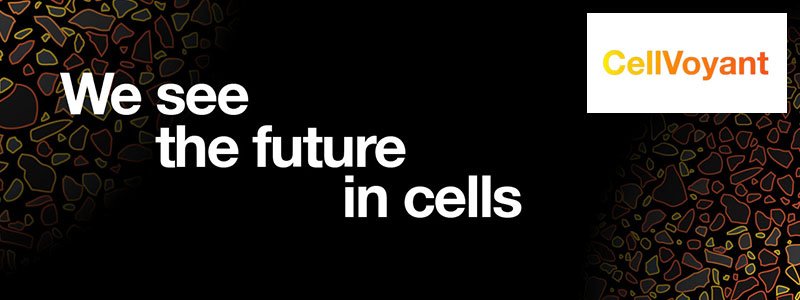 Octopus Future Generations VCT – Review | How to invest