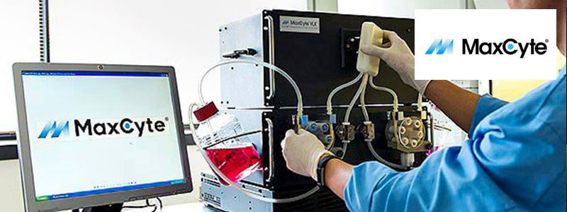 Maven Income & Growth VCTs – Review | How to invest